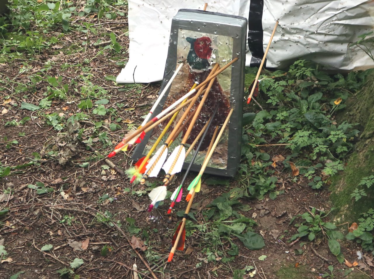 Photos | BCCB Archery